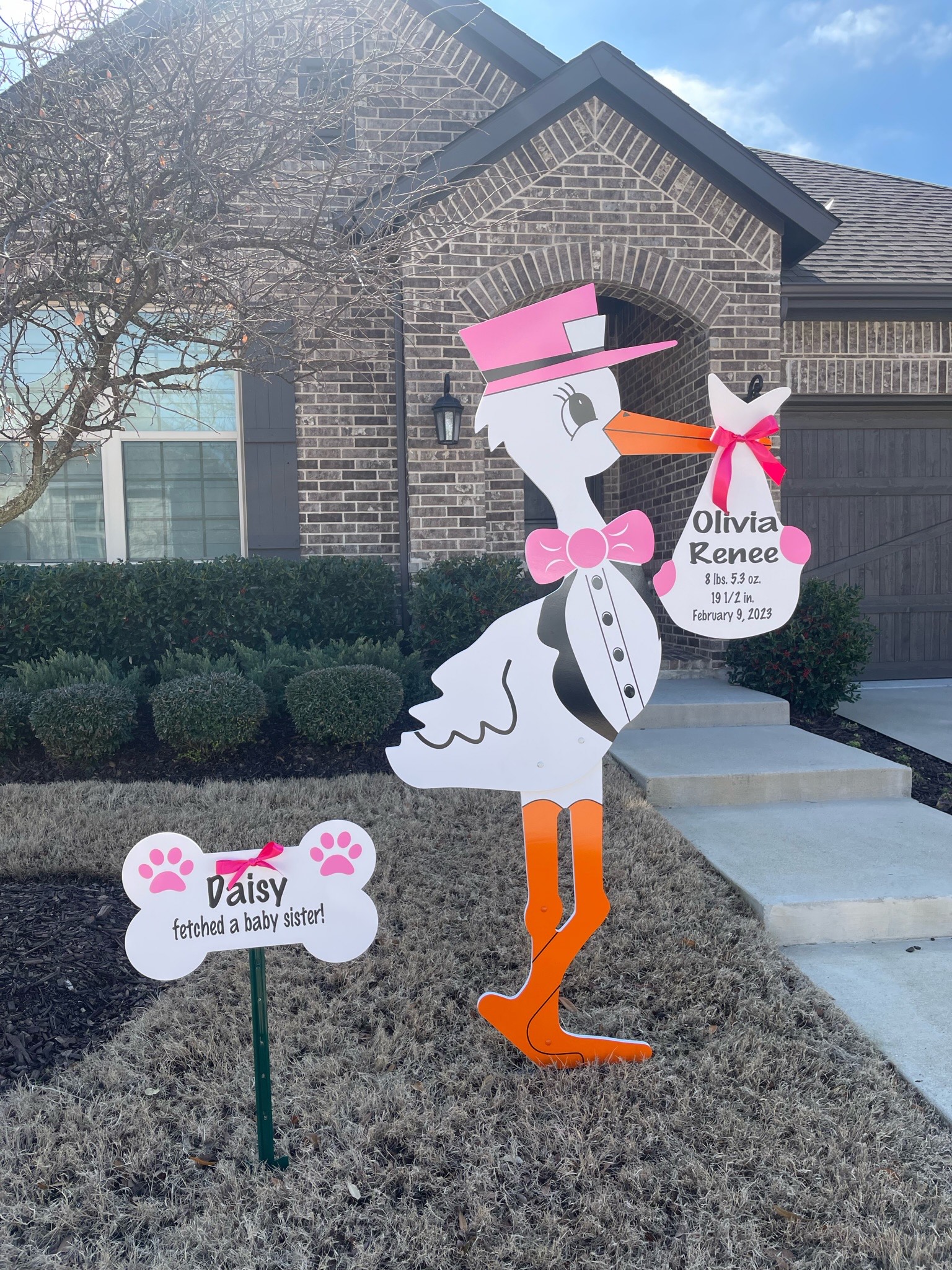 Small Town Storks: Stork Sign Rental in Grayson, and Collin County, Texas